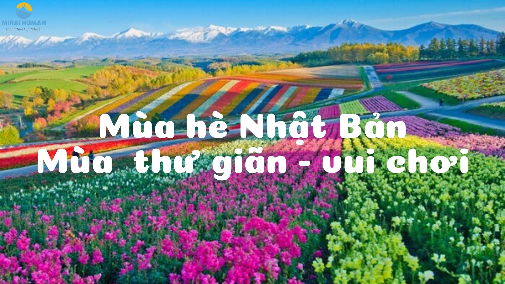 Tìm hiểu về xuất khẩu lao động Nhật Bản